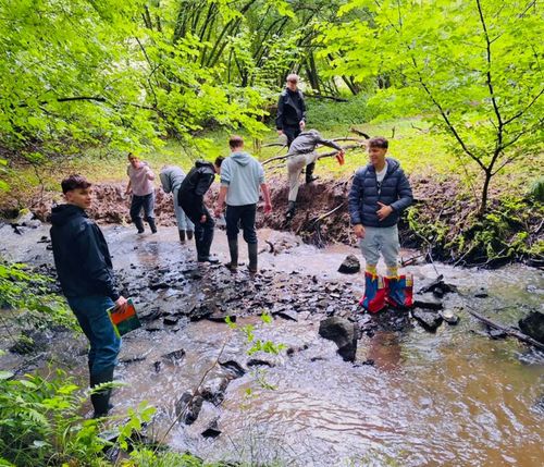 Wasser überall: Biologie-Exkursion der Q1 am 17. Juni 2024