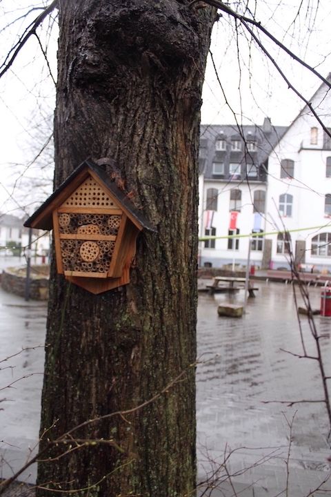 Förderverein des Antoniuskollegs Neunkirchen: Einladung zur ...